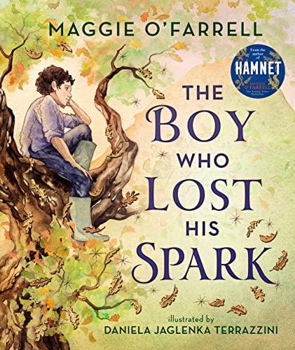 The Boy Who Lost His Spark by Maggie O'Farrell - Book Outlet