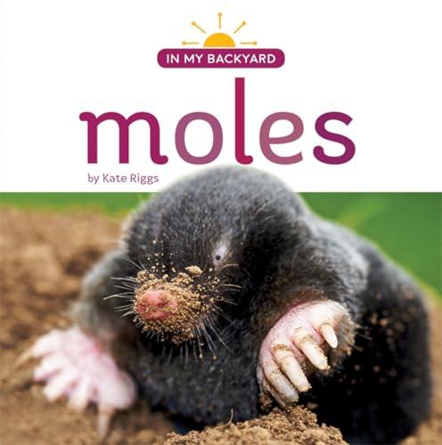Moles (In My Backyard) by Kate Riggs - Book Outlet