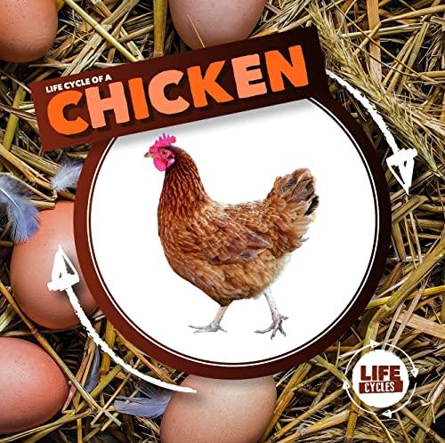 Life Cycle of a Chicken (Life Cycles) by Kirsty Holmes - Book Outlet