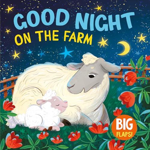 Good Night on the Farm (Big Flap) by Clever Publishing - Book Outlet